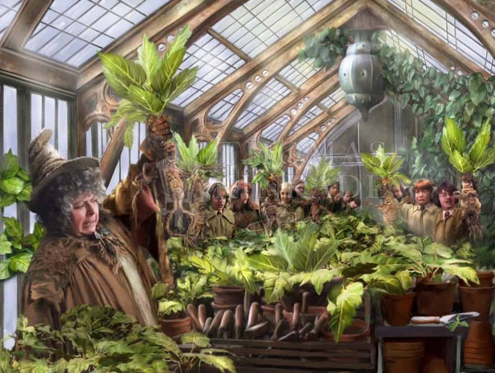 Harry Potter™ Hogwarts Greenhouse – Thomas Kinkade Gallery Of Murfreesboro